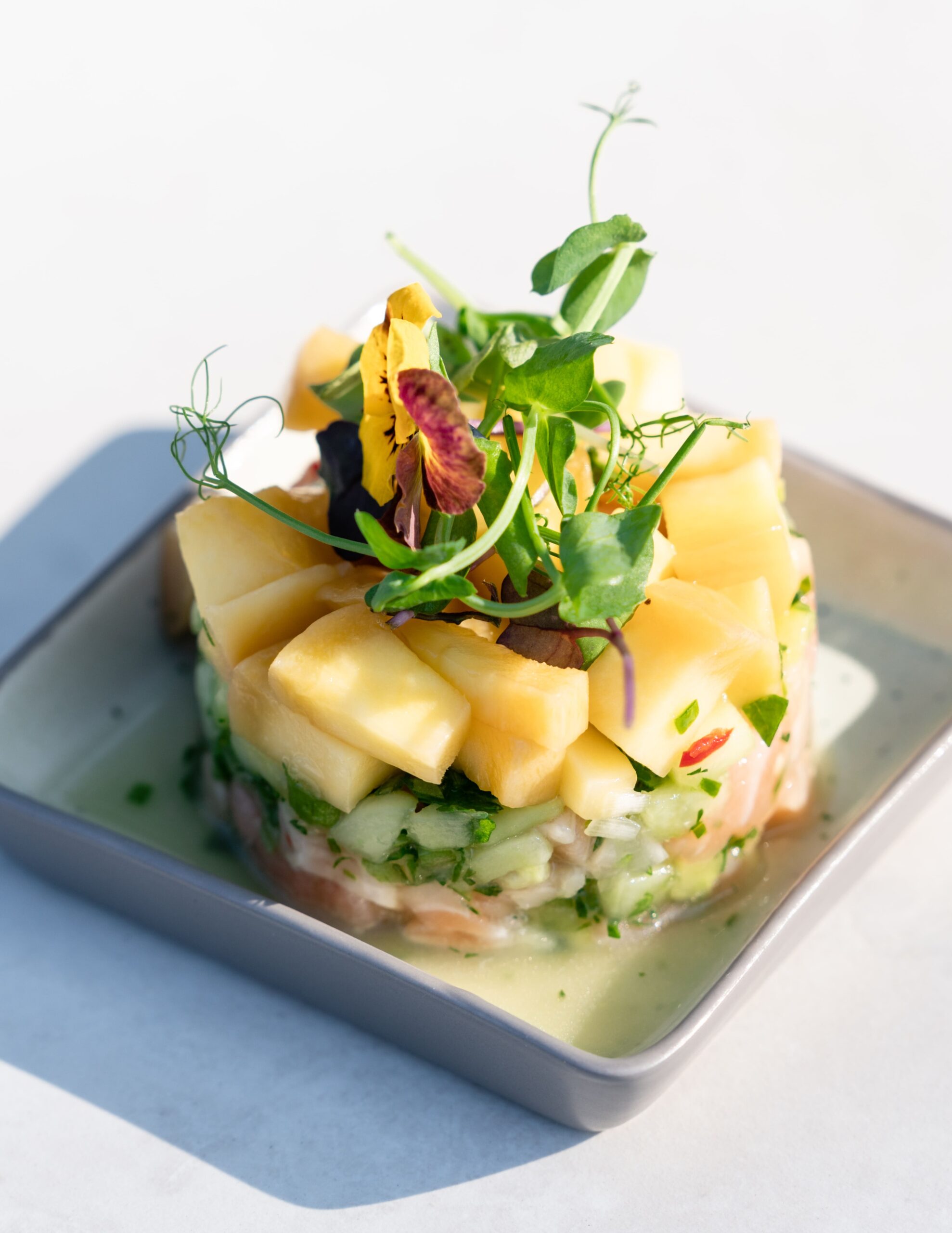 Food & Drinks - Le Son de la Terre